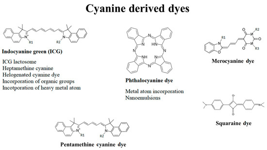 Potential of Cyanine Derived Dyes in Photodynamic Therapy
