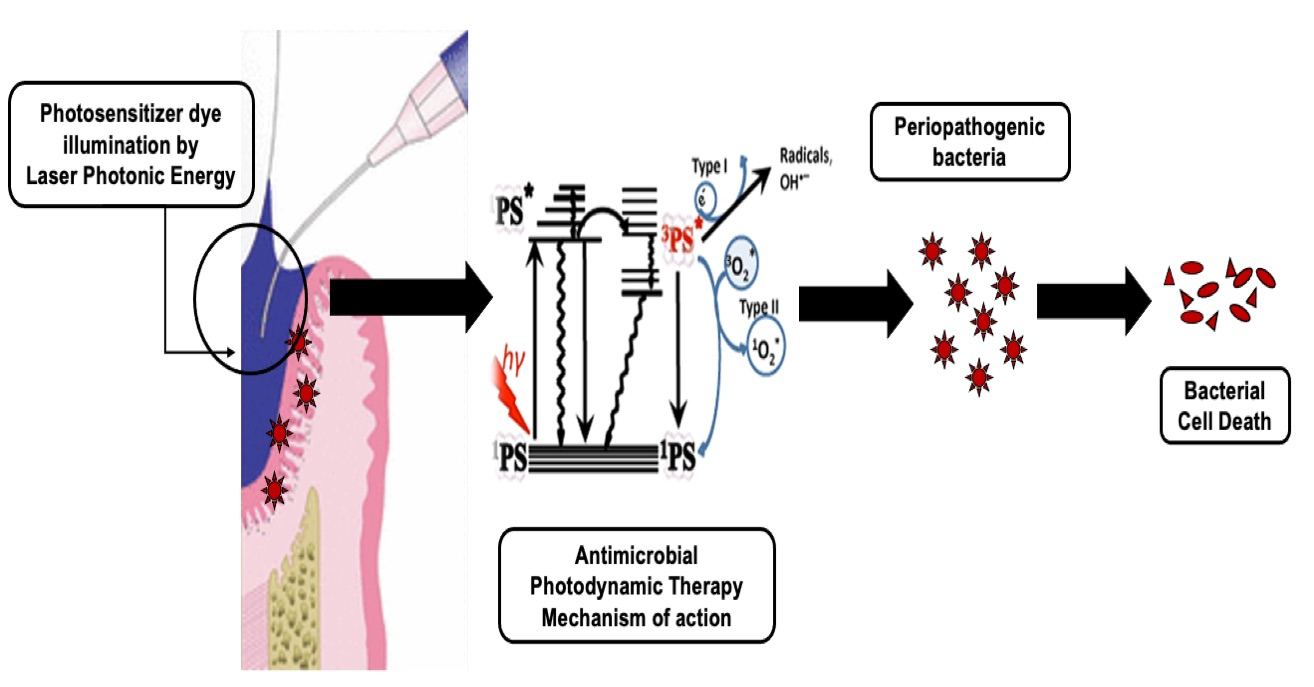 Pharmaceutics | Free Full-Text | Effectiveness of Antimicrobial ...
