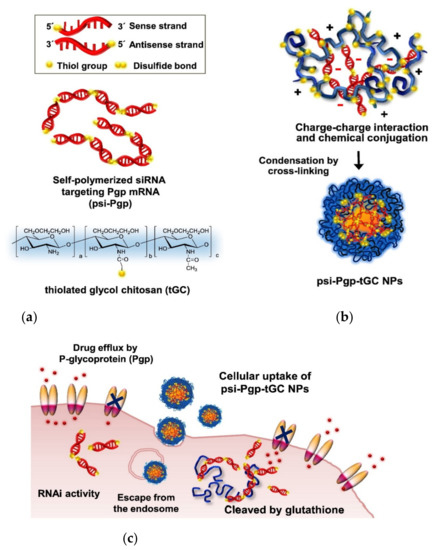 Thiolated-Polymer-Based Nanoparticles as an Avant-Garde Approach for ...