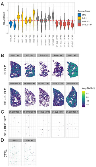 Surfactant-Assisted Distal Pulmonary Distribution of Budesonide ...