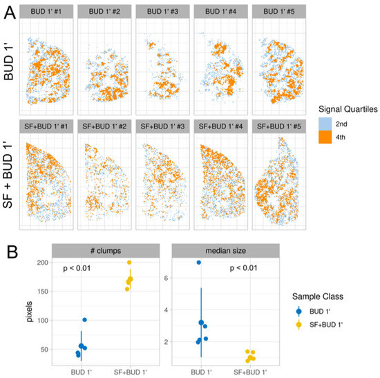 Surfactant-Assisted Distal Pulmonary Distribution of Budesonide ...