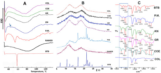 Improvement of Butamben Anesthetic Efficacy by the Development of ...