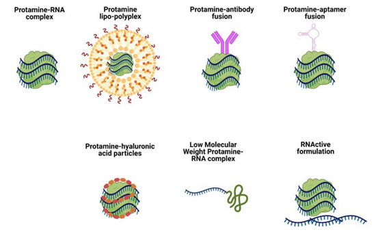 Protamine-Based Strategies for RNA Transfection