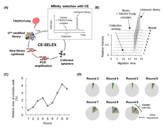 Hybrid-Type SELEX for the Selection of Artificial Nucleic Acid Aptamers ...