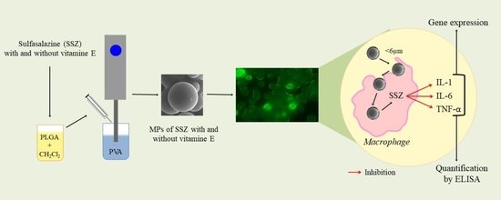 Pharmaceutics | Special Issue : Targeted Drug Delivery for Inflammation ...
