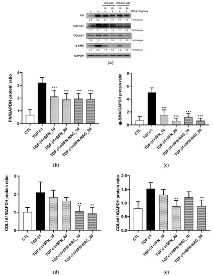 Comparison of Pharmacokinetics and Anti-Pulmonary Fibrosis-Related ...