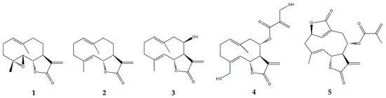 Sesquiterpene Lactones: Promising Natural Compounds to Fight Inflammation