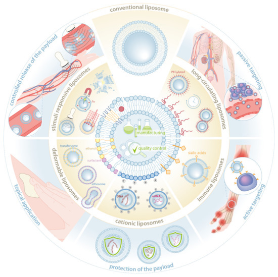 Recent Advances in Liposomal-Based Anti-Inflammatory Therapy