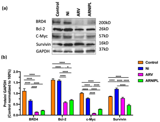 Development of Dual ARV-825 and Nintedanib-Loaded PEGylated Nano ...
