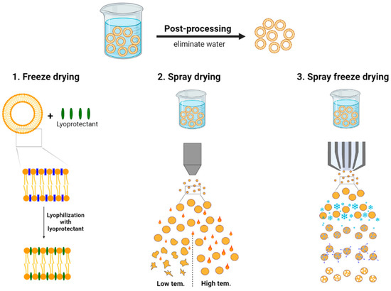 Post-Processing Techniques for the Improvement of Liposome Stability