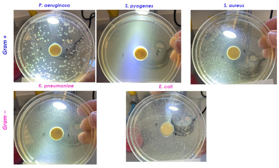 Emulgel Loaded with Flaxseed Extracts as New Therapeutic Approach in ...