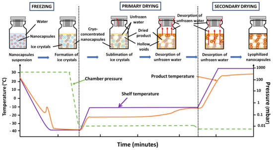 Lyophilization of Nanocapsules: Instability Sources, Formulation and ...