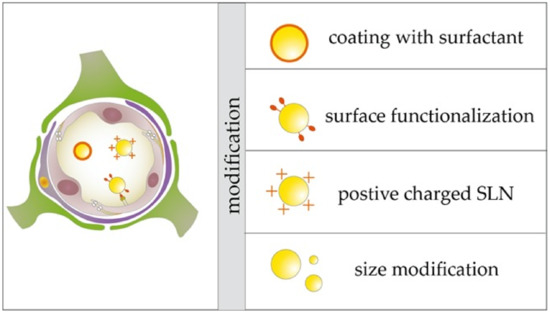 Pharmaceutics | Free Full-Text | Solid Lipid Nanoparticles (SLNs): An ...