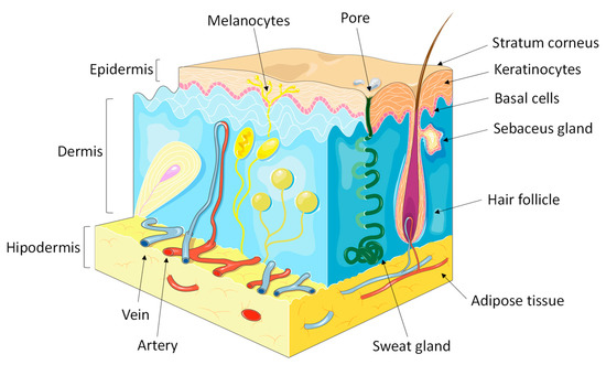 Lipid-Polymeric Films: Composition, Production and Applications in ...