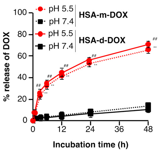 The Therapeutic Effect of Human Serum Albumin Dimer-Doxorubicin Complex ...