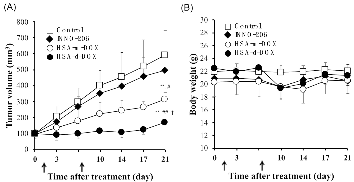 The Therapeutic Effect of Human Serum Albumin Dimer-Doxorubicin Complex ...