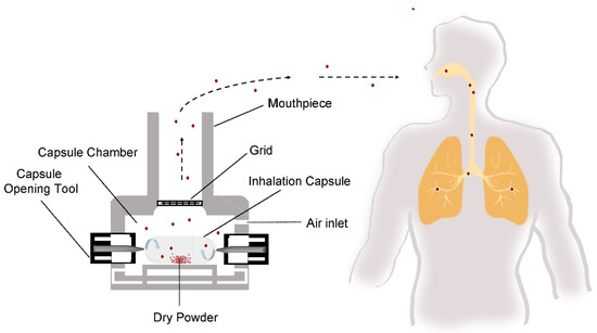 A Quality by Design Framework for Capsule-Based Dry Powder Inhalers