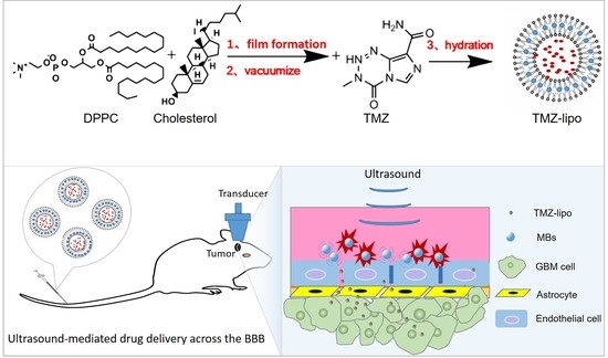 Pharmaceutics | Special Issue : Targeted Liposomal Drug Delivery