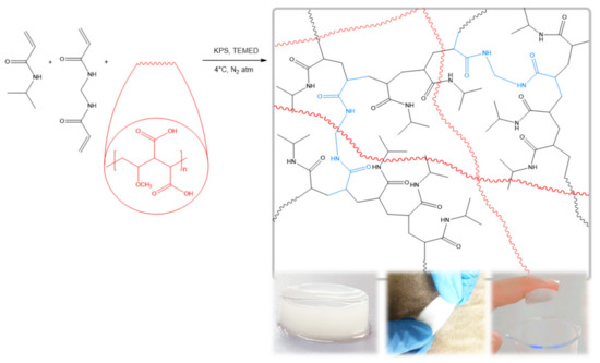 Thermosensitive Bioadhesive Hydrogels Based on Poly(N ...