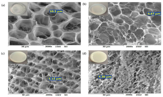 Thermosensitive Bioadhesive Hydrogels Based on Poly(N ...