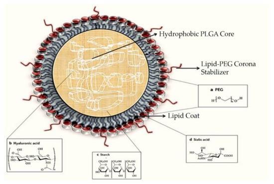 Polymeric Lipid Hybrid Nanoparticles (PLNs) as Emerging Drug Delivery ...