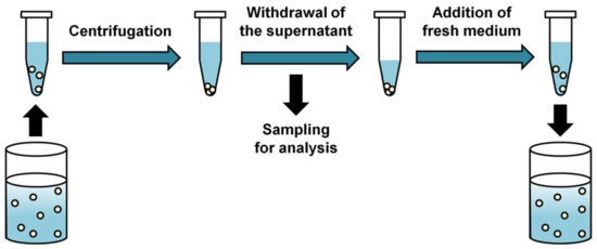 Recent Progress in Drug Release Testing Methods of Biopolymeric ...