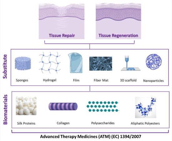 Pharmaceutics | Free Full-Text | Biomaterials for Soft Tissue Repair ...