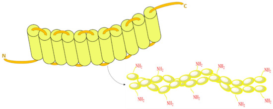 Surface-Tailored Zein Nanoparticles: Strategies and Applications