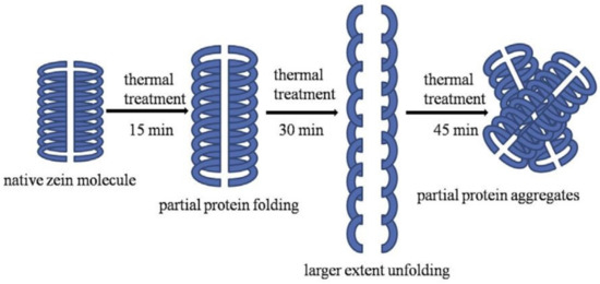 Surface-Tailored Zein Nanoparticles: Strategies and Applications