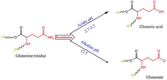 Surface-Tailored Zein Nanoparticles: Strategies and Applications