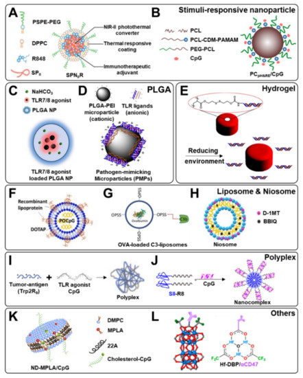 Engineering Therapeutic Strategies in Cancer Immunotherapy via ...