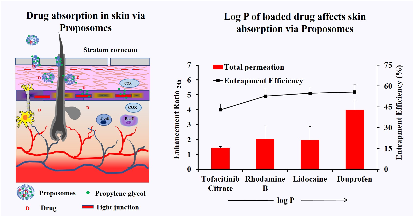 Pharmaceutics | Free Full-Text | Enhancement of Skin Delivery of Drugs ...
