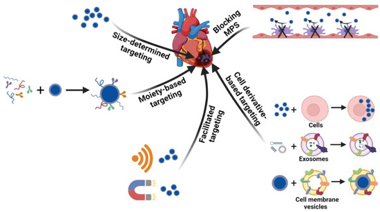 Non-Viral Gene Delivery Systems for Treatment of Myocardial Infarction ...