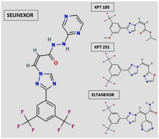 Selinexor and the Selective Inhibition of Nuclear Export: A New ...