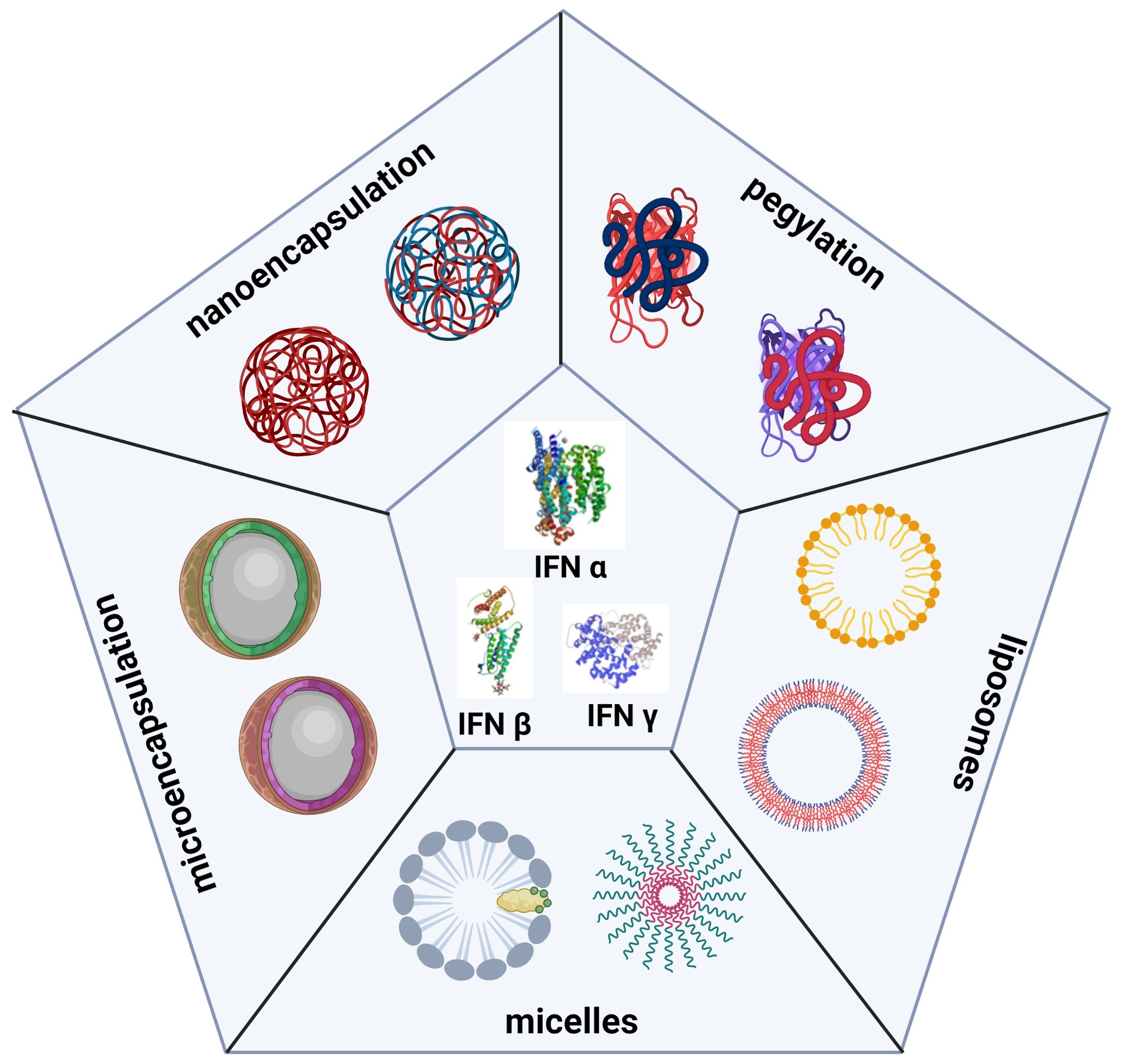 Pharmaceutics | Free Full-Text | Forms and Methods for Interferon’s Encapsulation