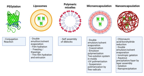Forms and Methods for Interferon’s Encapsulation