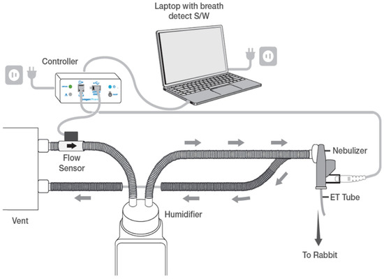 Physiologic Effects of Instilled and Aerosolized Surfactant Using a ...