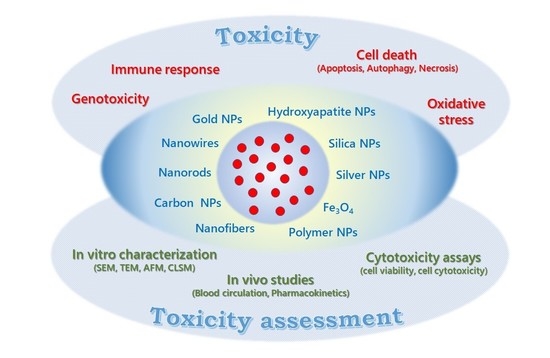 Pharmaceutics | Free Full-Text | Safety Evaluation of Nanotechnology ...