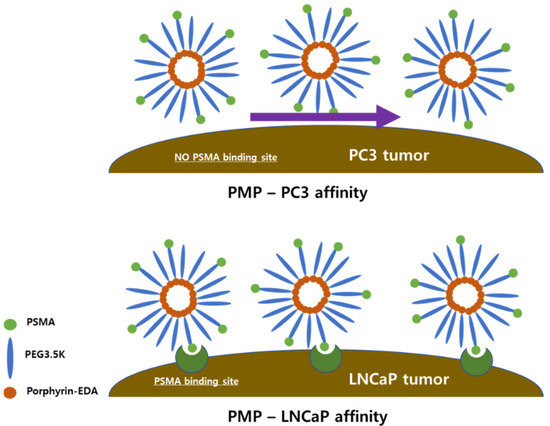 PMP(Porphyrin–Micelle–PSMA) Nanoparticles for Photoacoustic and ...