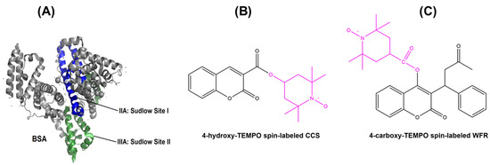 Pharmaceutics | Free Full-Text | Molecular-Level Release of Coumarin-3 ...