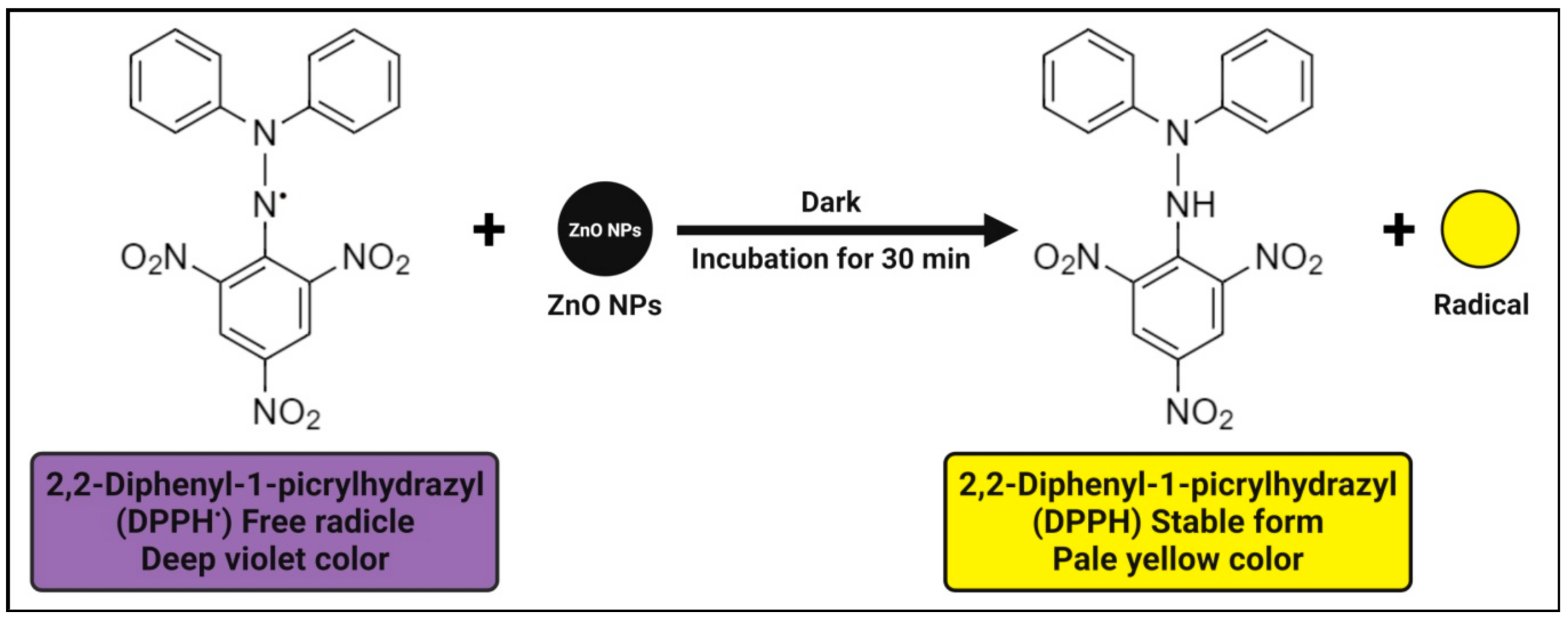 Pharmaceutics | Free Full-Text | Plant-Mediated Zinc Oxide Nanoparticles: Advances in the New ...