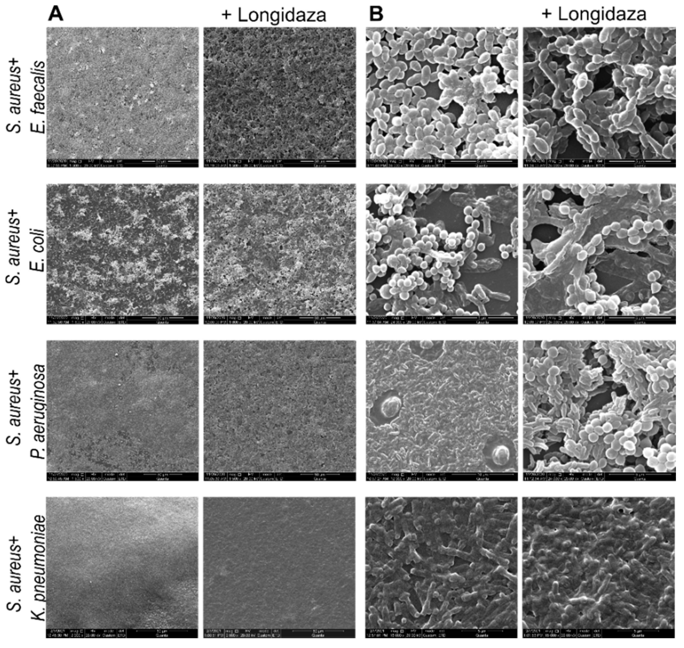 Improving the Efficacy of Antimicrobials against Biofilm-Embedded ...