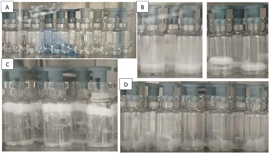 Surface Treatment of Glass Vials for Lyophilization: Implications for ...