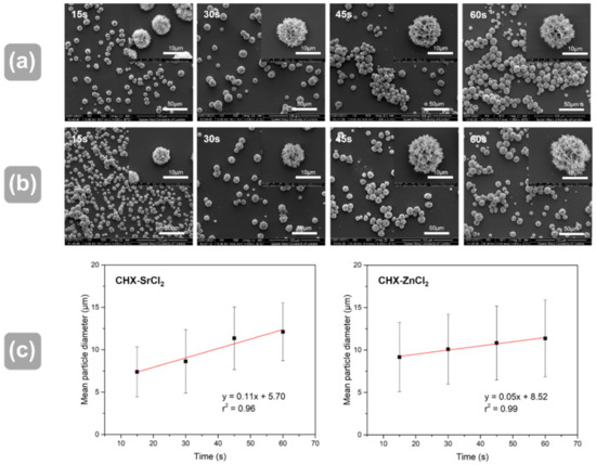 Synthesis, Drug Release, and Antibacterial Properties of Novel ...