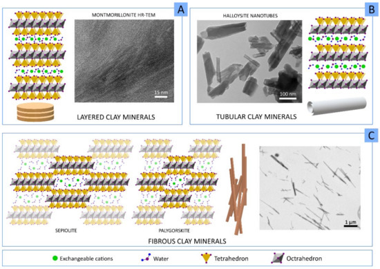 Pharmaceutics | Free Full-Text | Clay Minerals as Bioink Ingredients ...