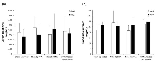 Efficient Messenger RNA Delivery to the Kidney Using Renal Pelvis ...