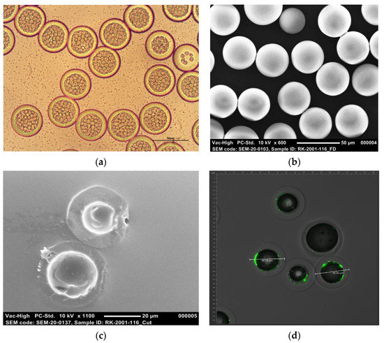 Microfluidic Production of Polymeric Core-Shell Microspheres for the Delayed Pulsatile Release ...