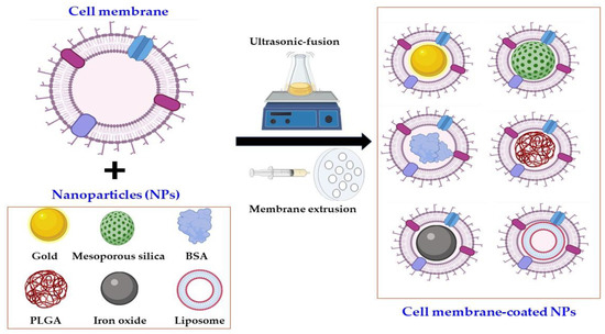 Biomimetic Nanoparticles Coated with Bacterial Outer Membrane Vesicles ...