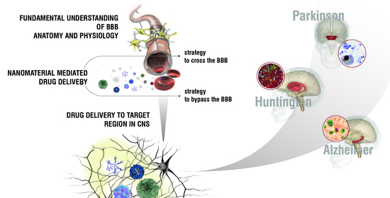 Pharmaceutics | Special Issue : Blood–Brain Barrier Drug Targeting: The ...