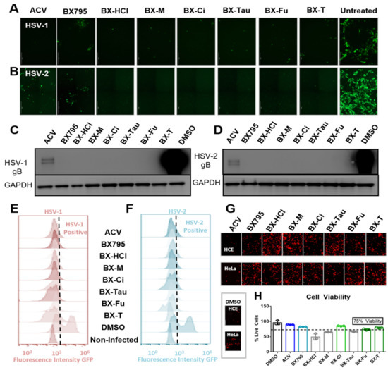 BX795-Organic Acid Coevaporates: Evaluation of Solid-State ...